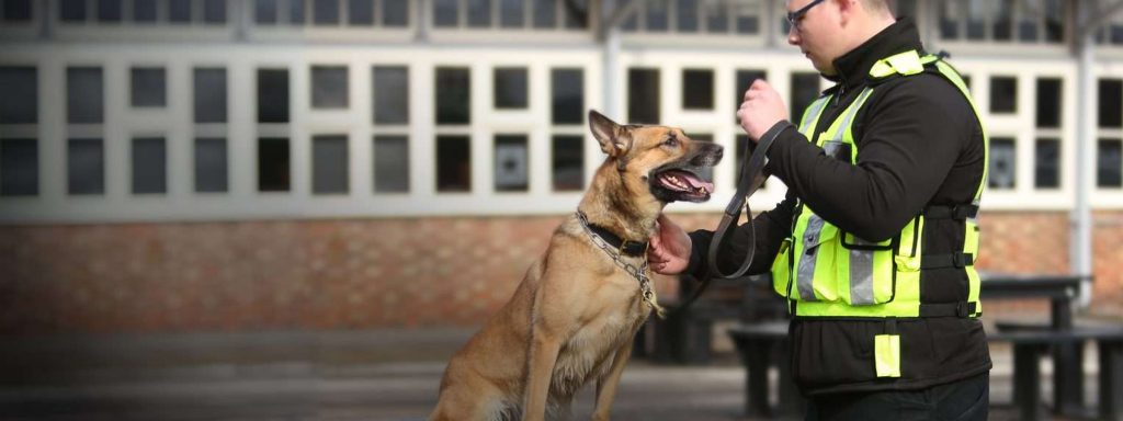 Canine Security Services - New Gen Security Services